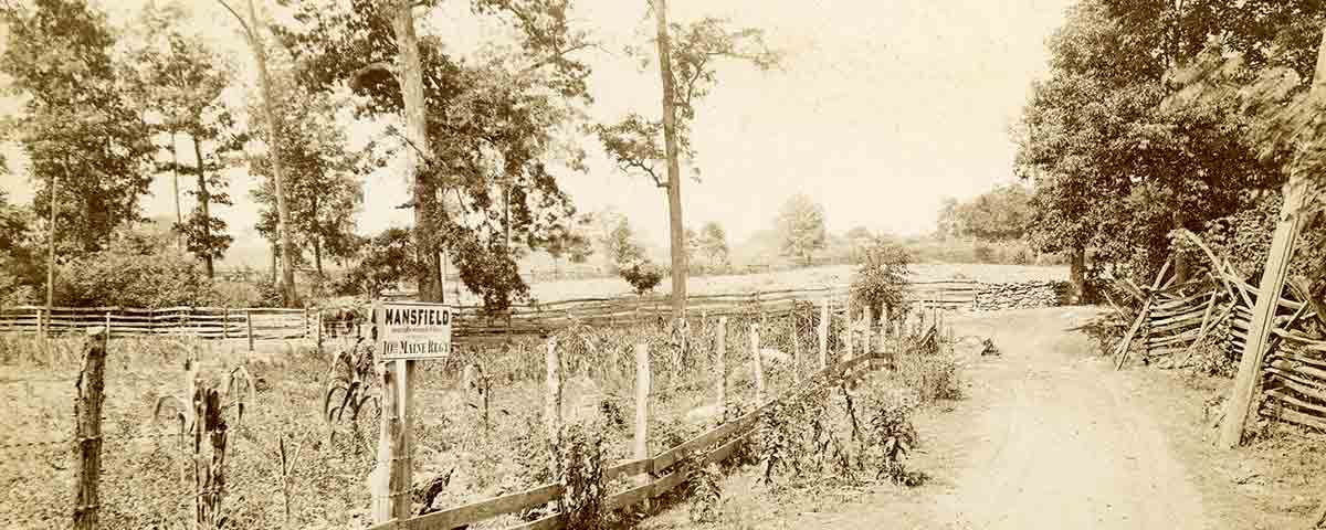 From The Crossroads: As Good As Gould