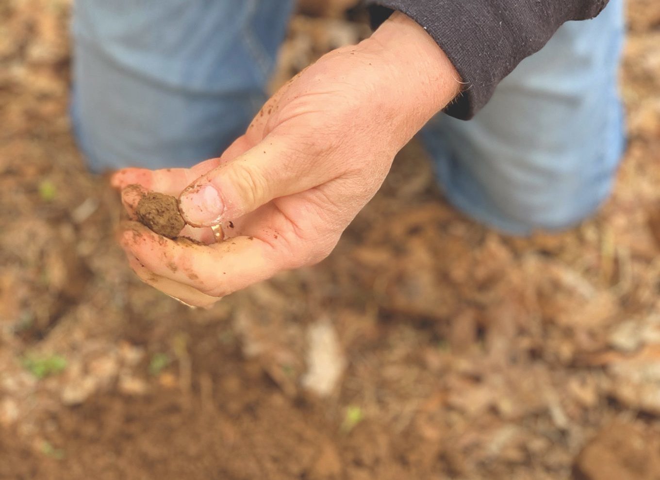 Can You Dig it? Archaeologists Take on Culp’s Hill