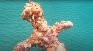 Diver Finds 900-Year-Old Sword Belonging to a Knight Crusader Off ...