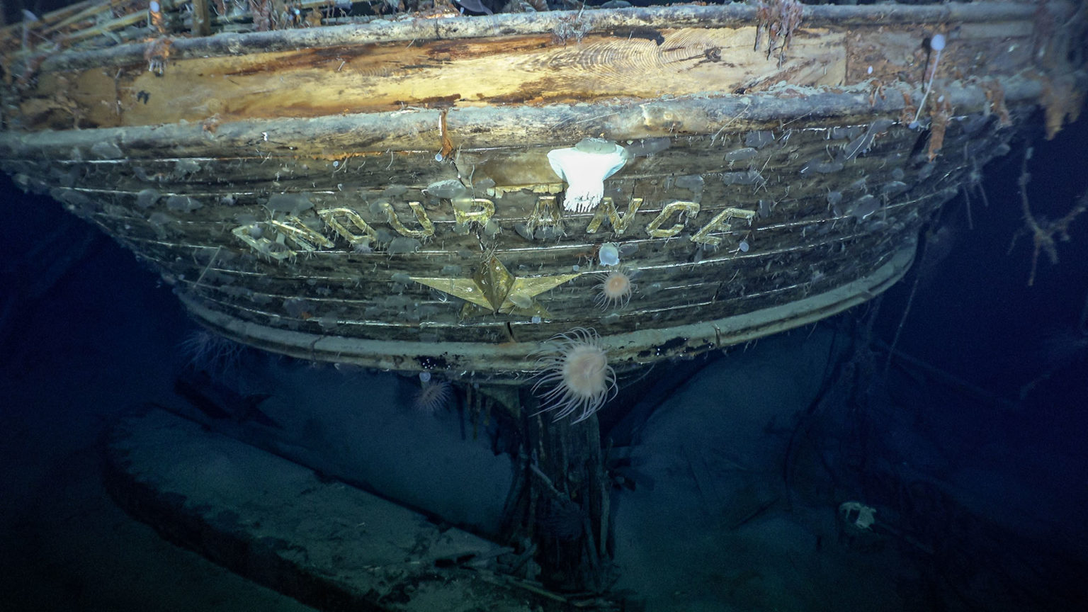 National Geographic to Tell Tale of Ernest Shackleton's Doomed Ship ...
