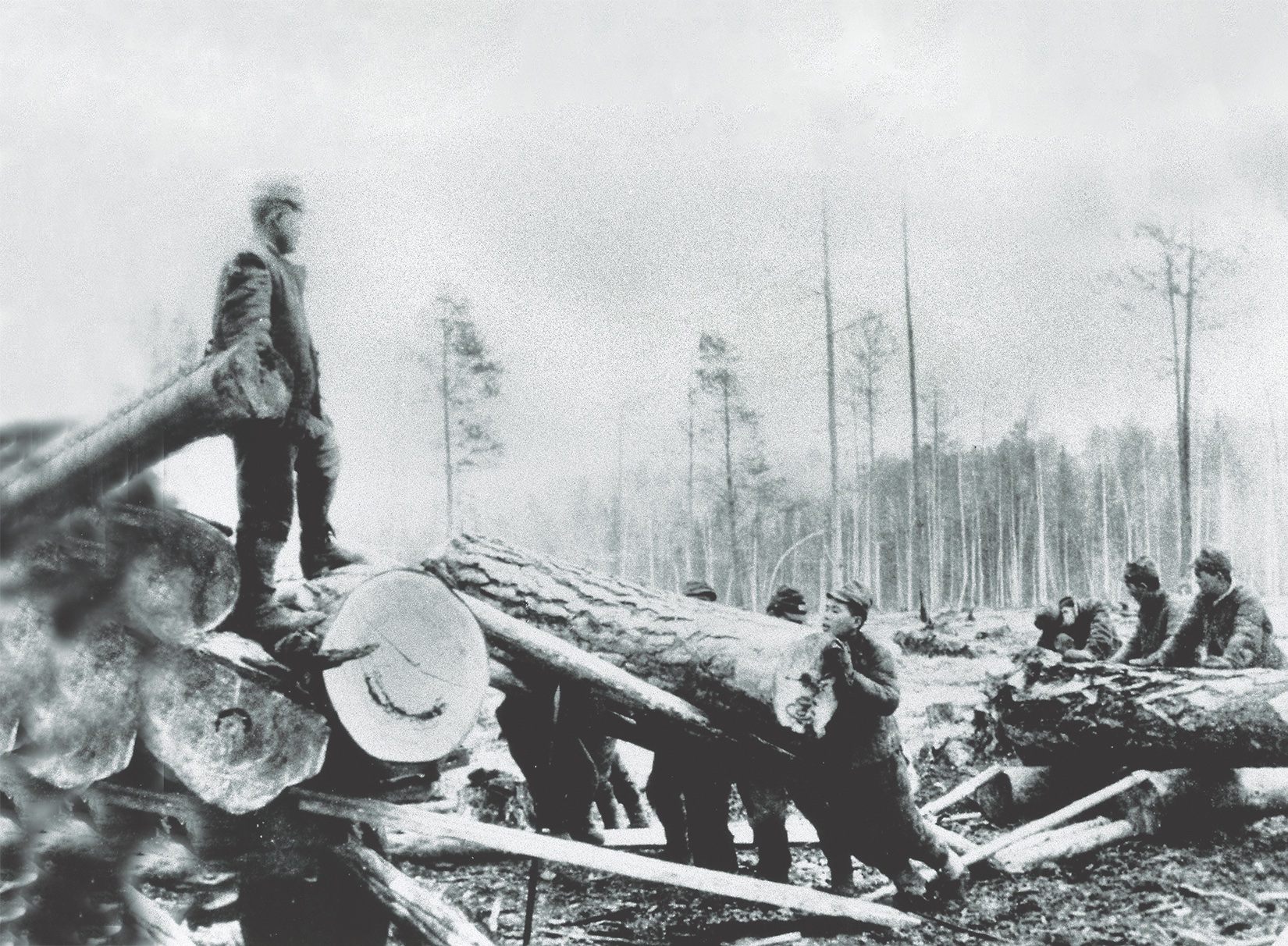 Did the Soviets Treat Japanese POWs as Badly as German Ones?