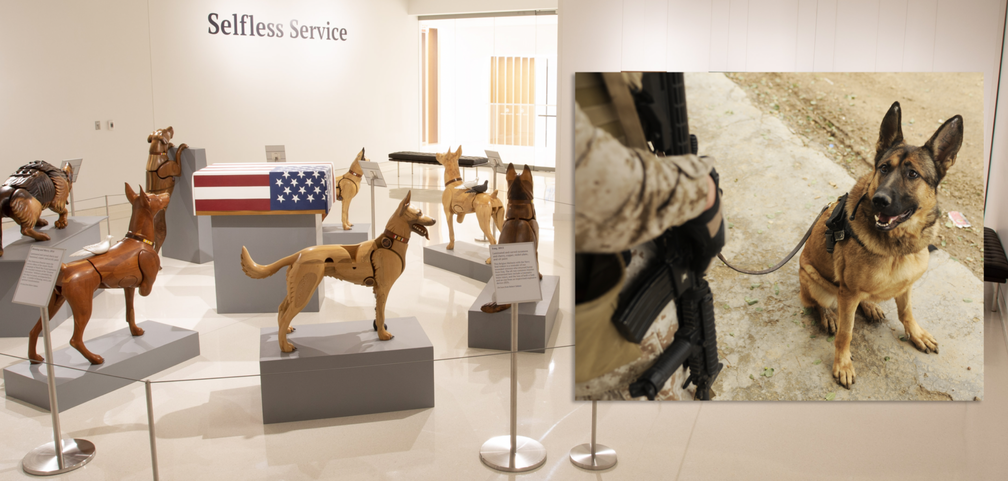 National Army Museum Working Dog Exhibit | HistoryNet